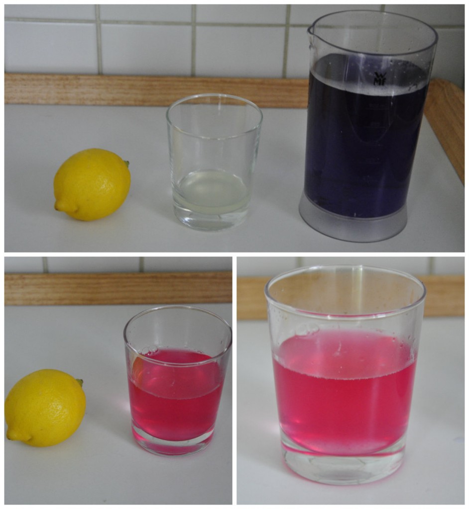 Expérience chimique à faire avec les enfants : le chou-rouge dans ...