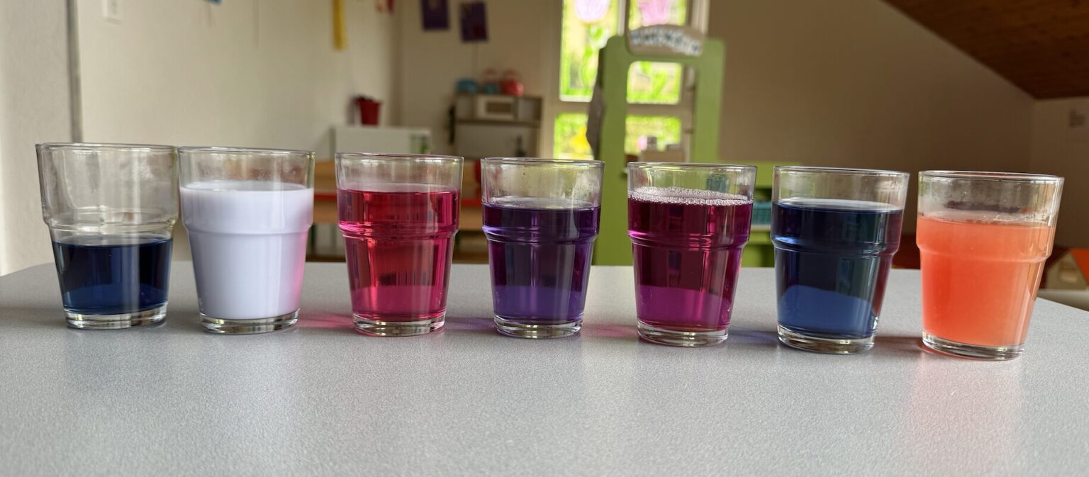 Expérience chimique à faire avec les enfants : le chou-rouge dans ...